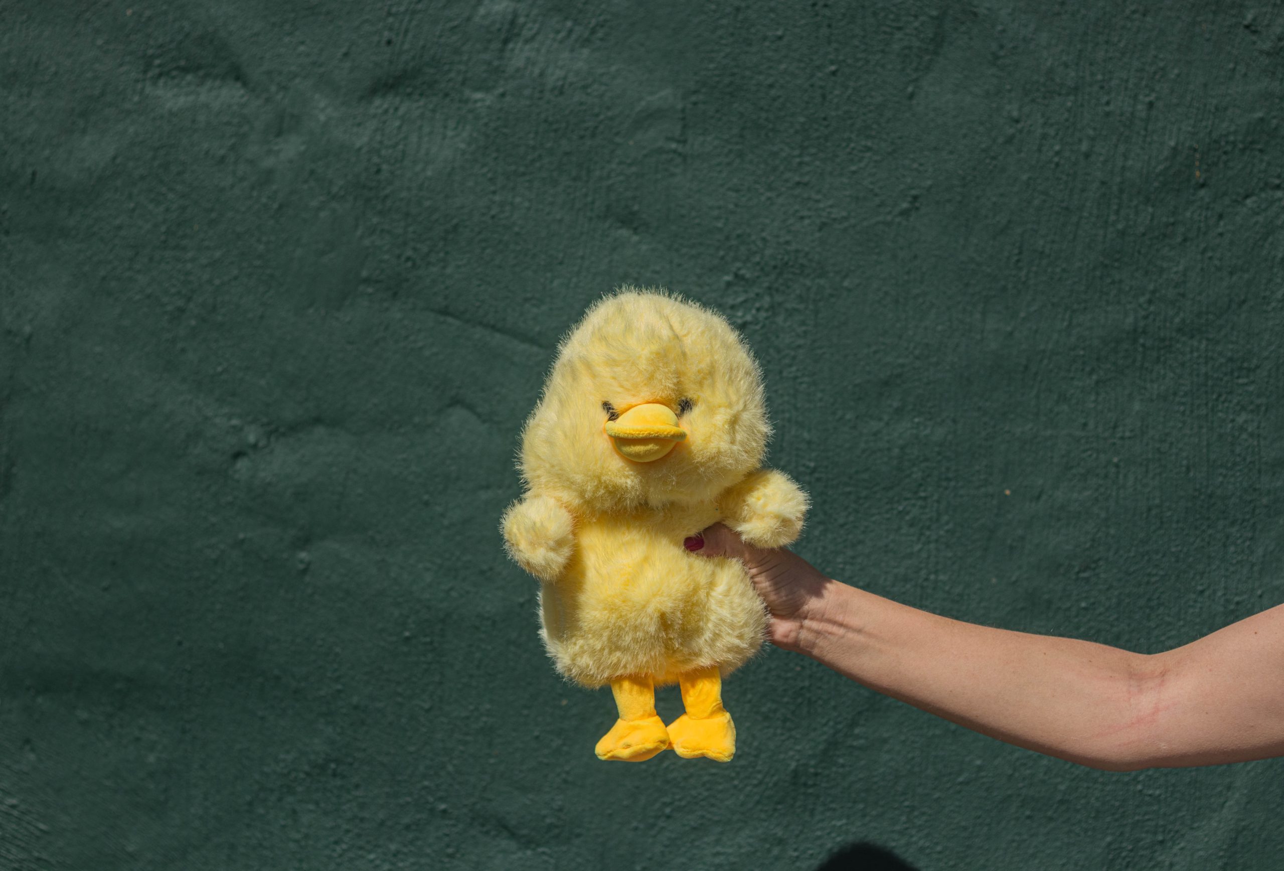 Duck Teddy - Rose & Company