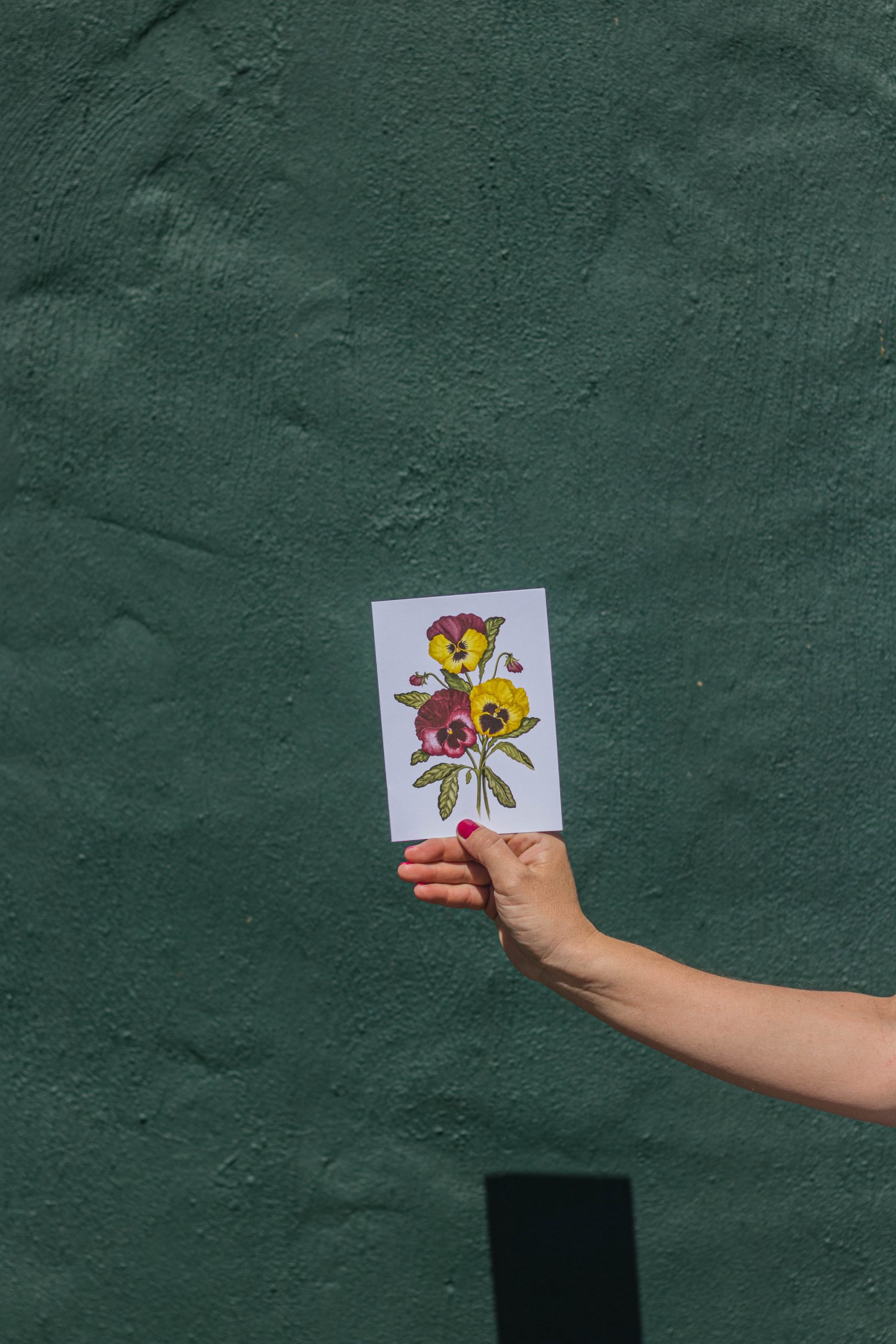 Card - Flower Card 17 - Rose & Company